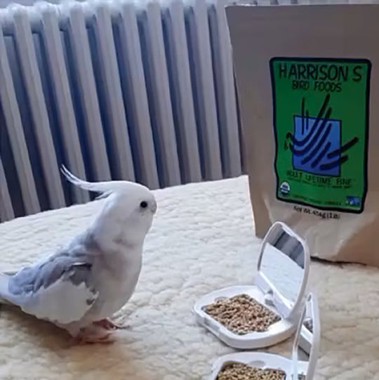 Shop Harrison's Bird Foods & Pellets – BirdieBoutique.com