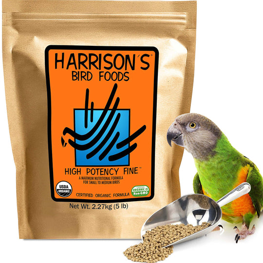 Pet Bird Store | Premium Bird Supplies – BirdieBoutique.com